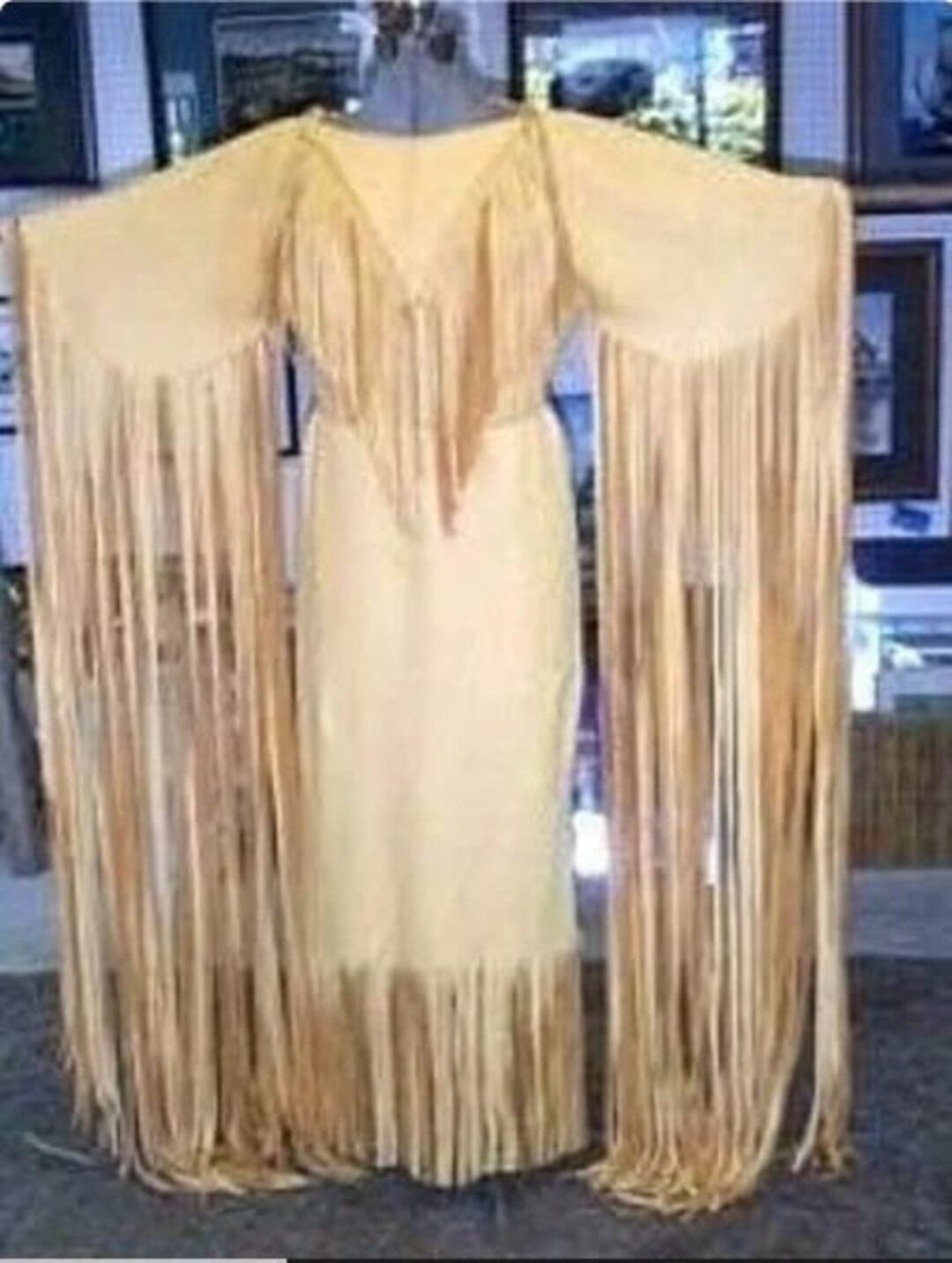 Native American Woman's Tan Leather Long Fringes Wedding Dress Powwow ...