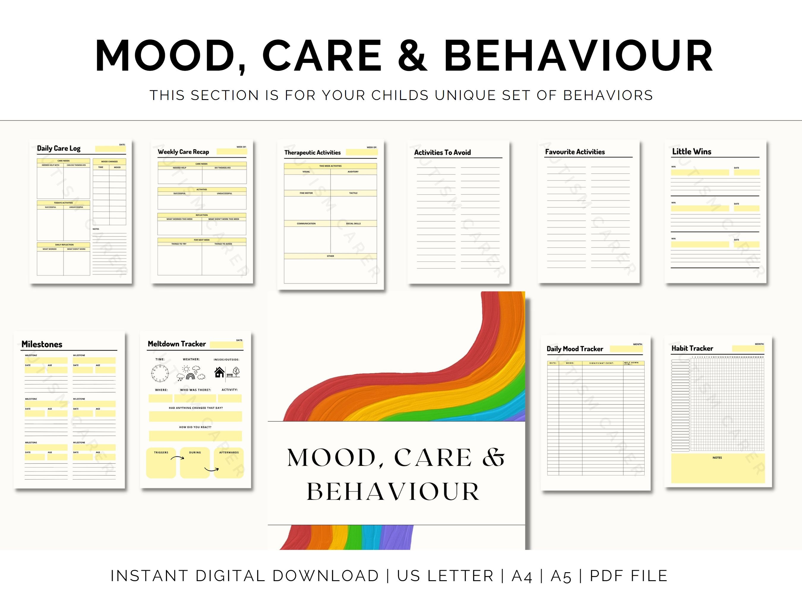 Autism Planner Autism Routine Autism Binder Autism - Etsy