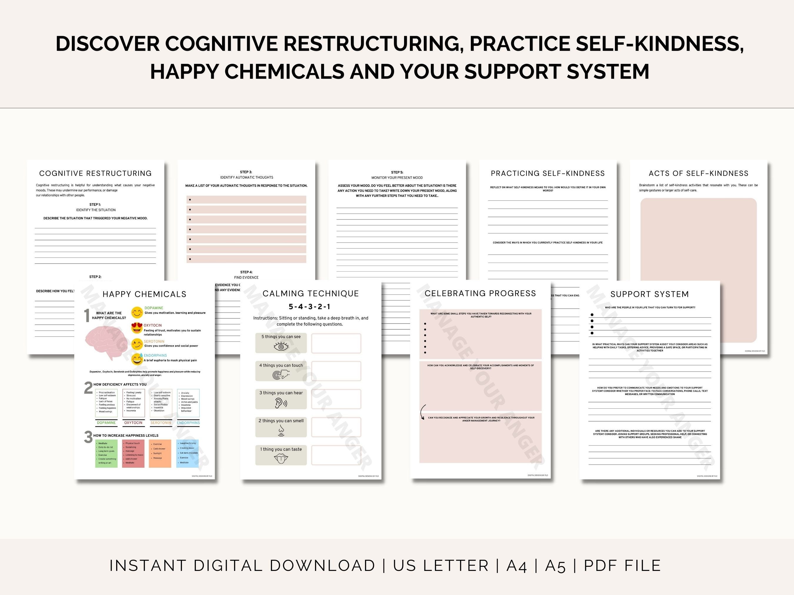 Anger Management Workbook, Anger Worksheets, CBT Worksheets, Therapy ...