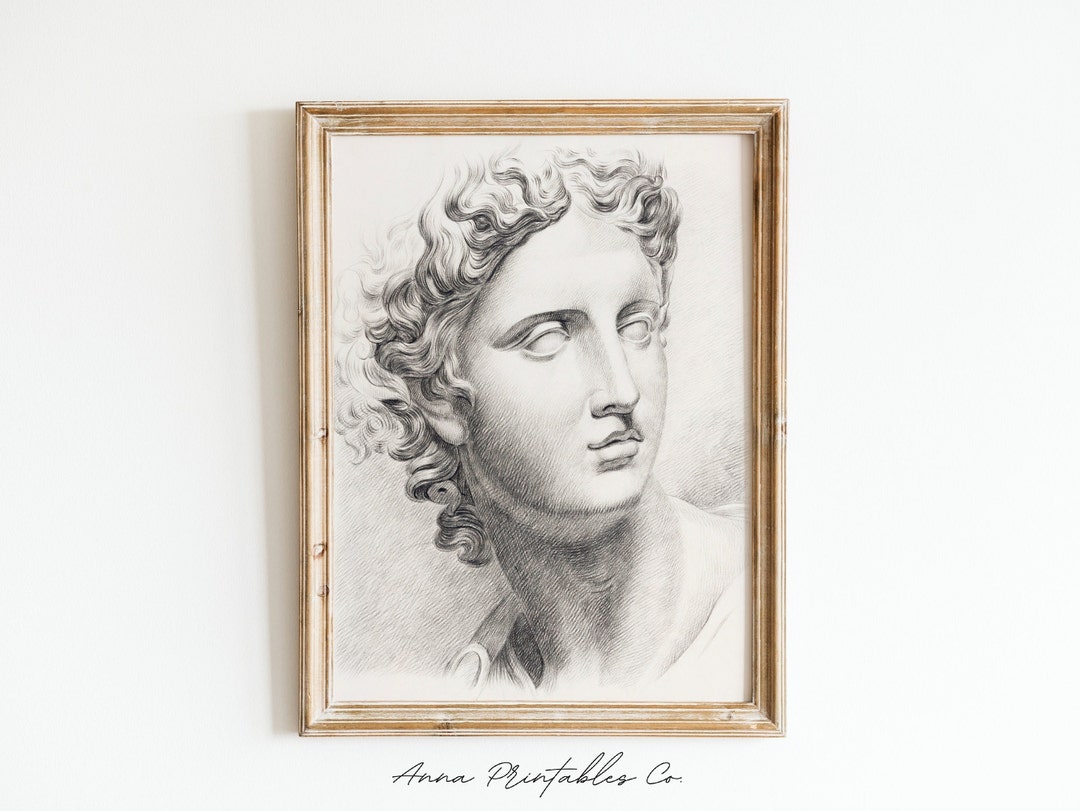 Classical Sketch Antique Greek Bust Drawing for Digital - Etsy