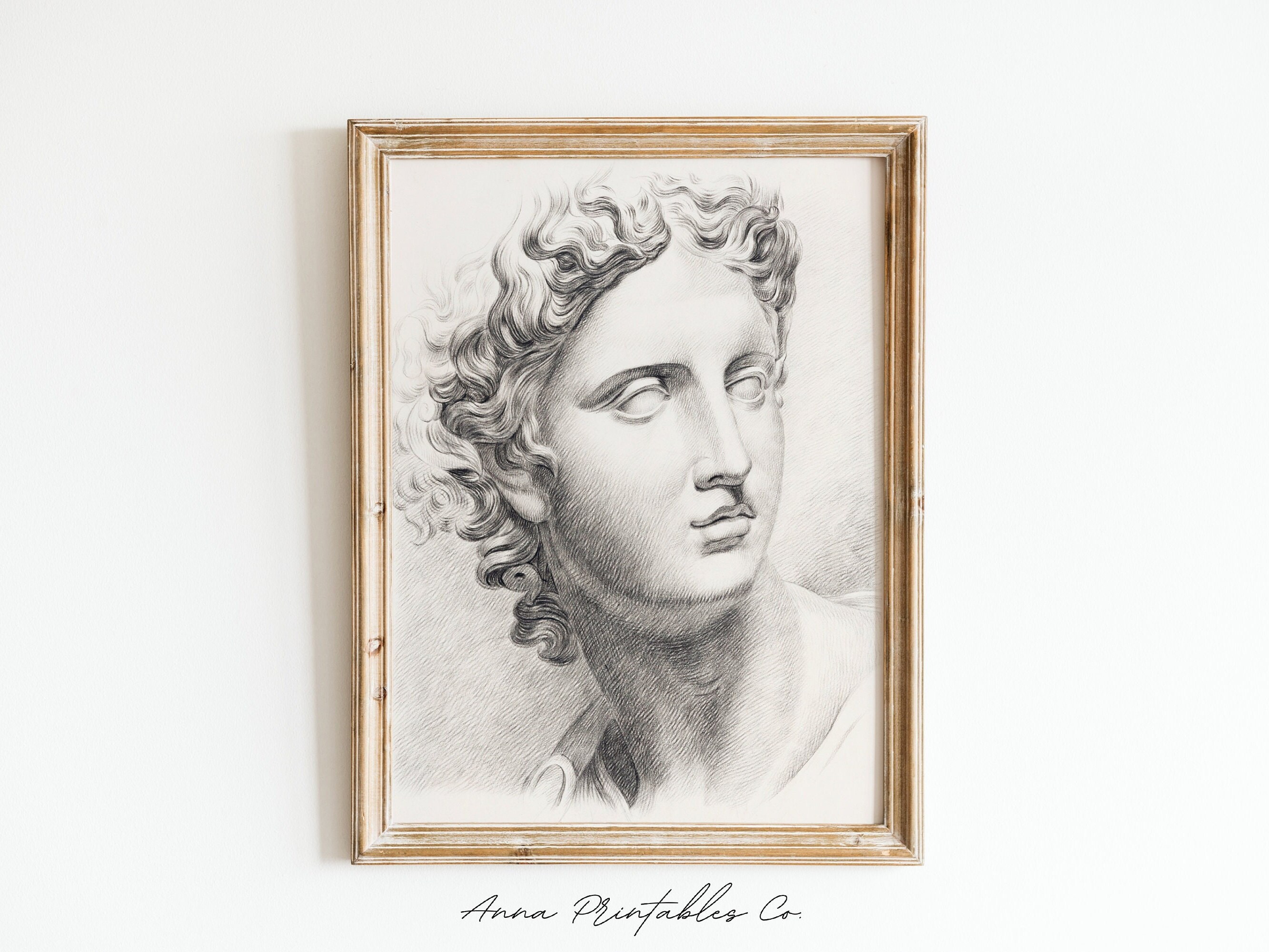 Classical Sketch | Antique Greek Bust Drawing for Digital Download ...