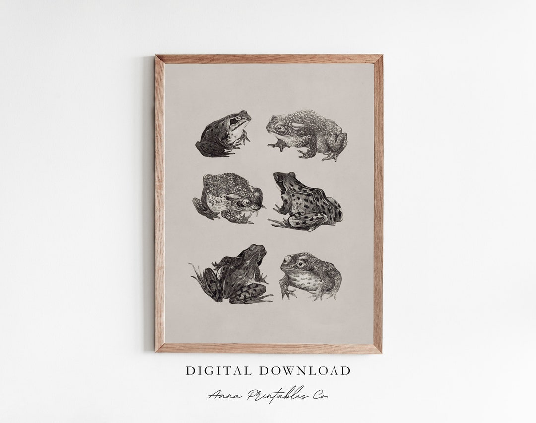 Frog Study | A Dark Cottagecore Vintage Art Print for Digital Download ...
