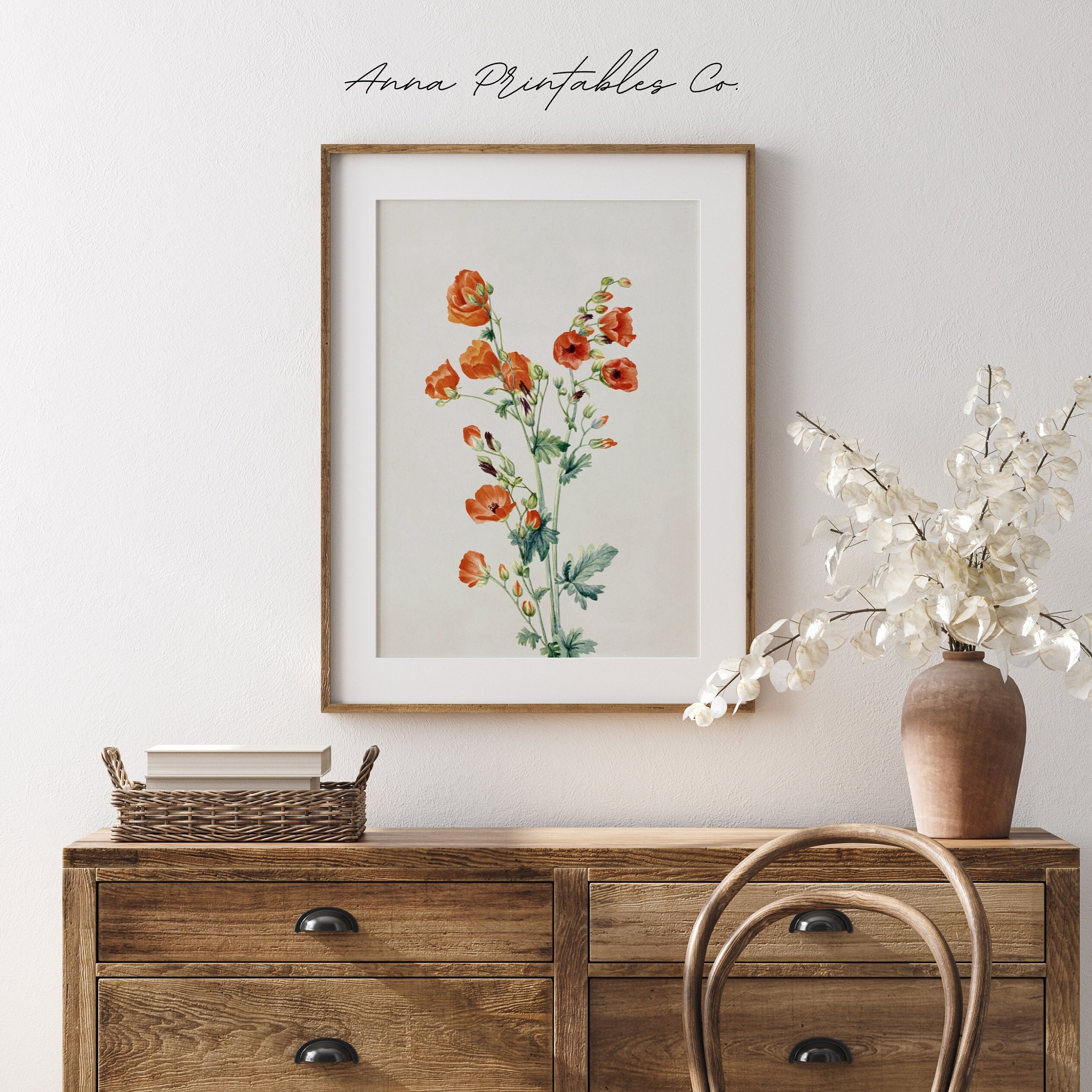 Scarlet Globe-mallow Antique Flower Illustration for Digital - Etsy