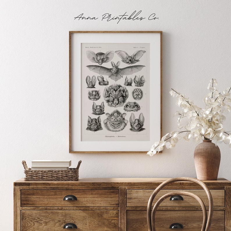 Bats | Vintage Bat Anatomy Poster for Digital Download | Dark Academia ...