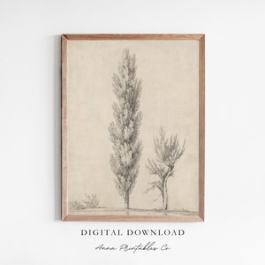 Columnar Trees Vintage Drawing for Digital Download, Tree Illustration ...