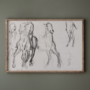 Horse Study Antique Horse Sketch for Digital Download Vintage Animal ...