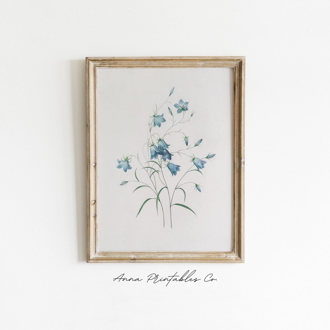 Blue Bellflower Antique Floral Drawing Print Digital - Etsy