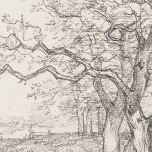 Tree Sketch V | Antique Landscape Drawing for Digital Download | Rustic ...