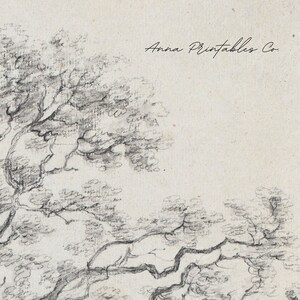 A Great Oak Tree Antique Tree Sketch Print for Digital - Etsy