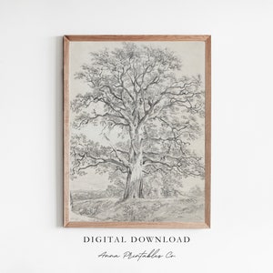 A Great Oak Tree | Antique Tree Sketch Print for Digital Download ...