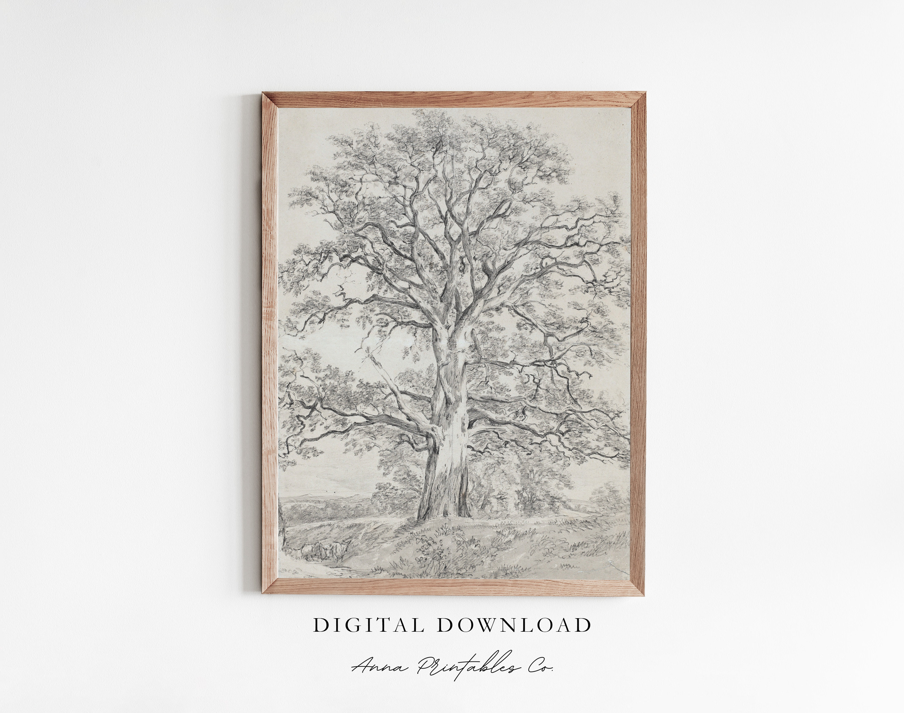 A Great Oak Tree | Antique Tree Sketch Print for Digital Download ...