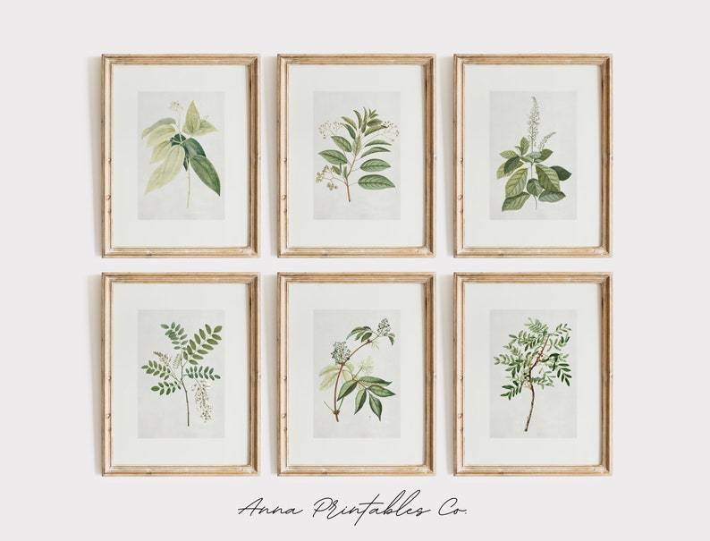 Antique Botanical Gallery Wall Set of 6 Prints for Digital Download ...