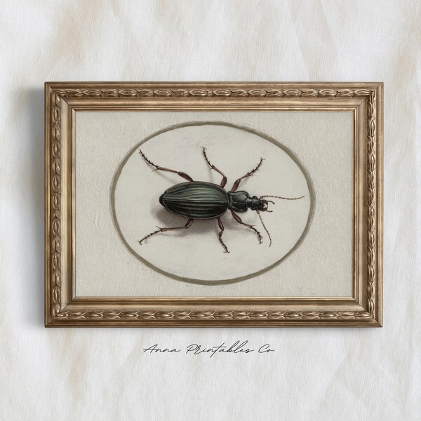 Insect Art Print - Etsy