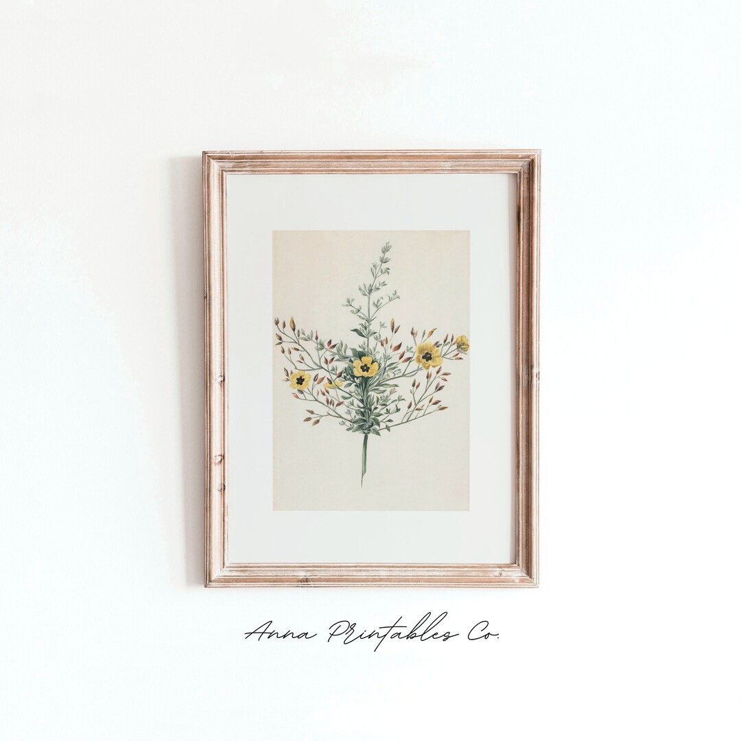 Wildflower Sprig Antique Botanical Drawing for Digital - Etsy
