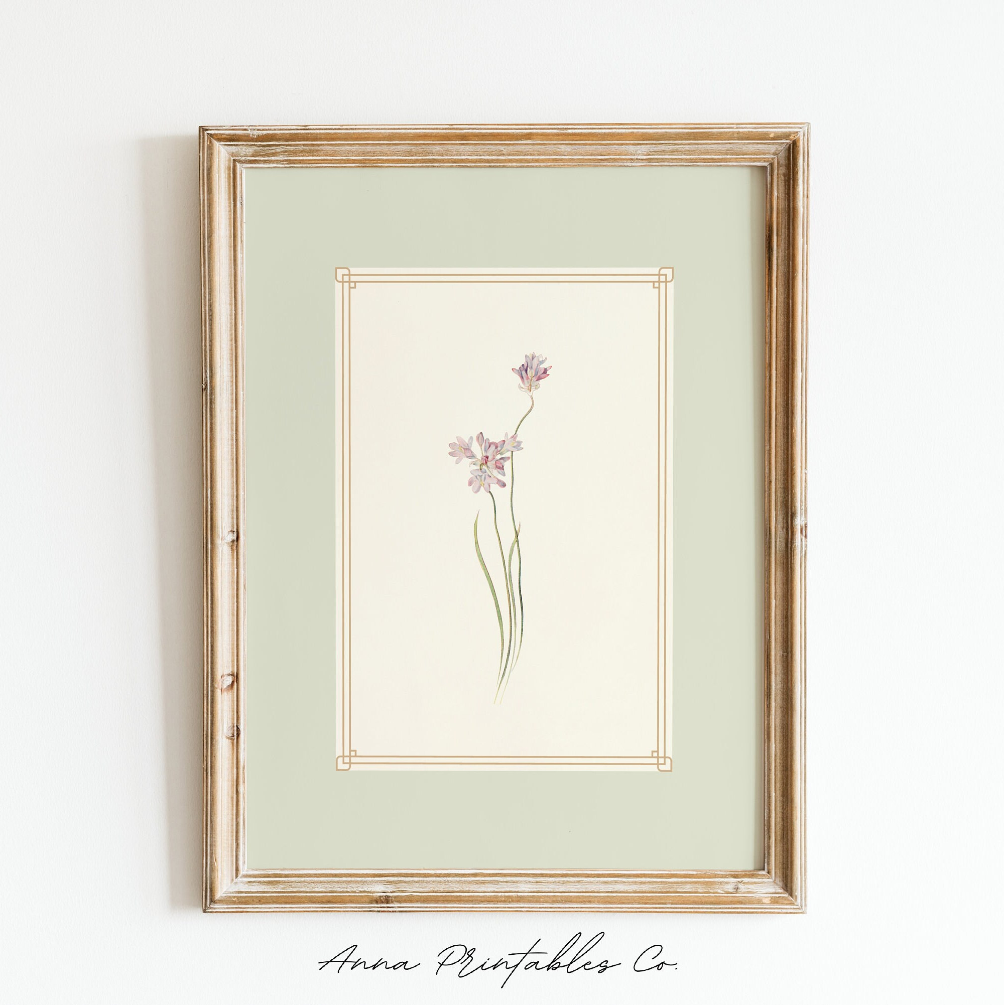 Mint Green Florals | Antique Botanical Set of 6 Prints for Digital ...