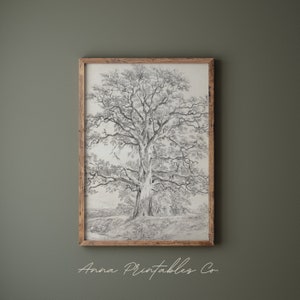 A Great Oak Tree Antique Tree Sketch Print for Digital - Etsy