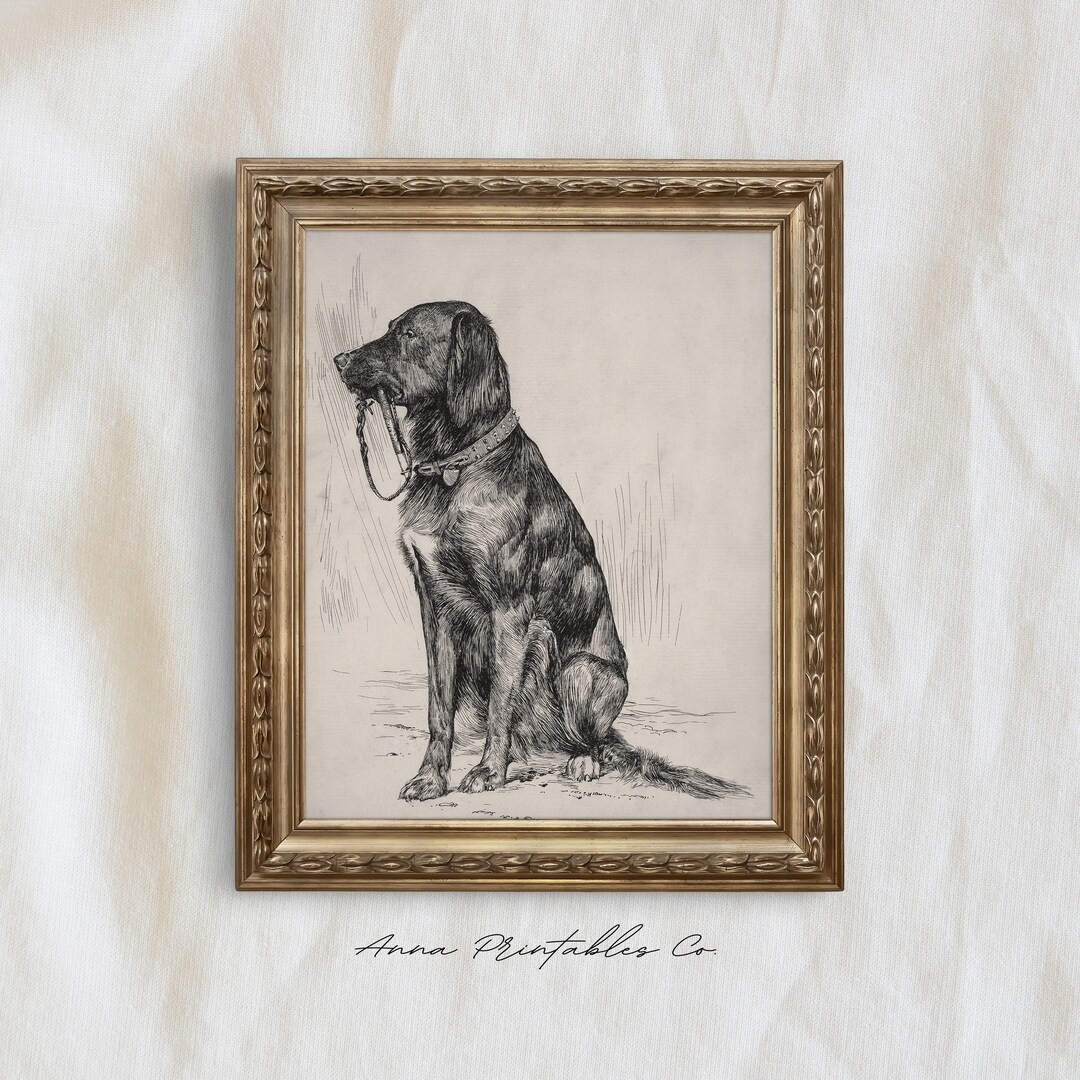 Black Labrador Antique Dog Ink Drawing for Digital Download - Etsy
