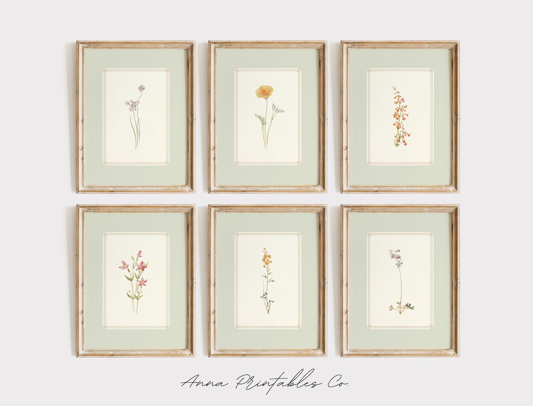 Mint Green Florals | Antique Botanical Set of 6 Prints for Digital ...