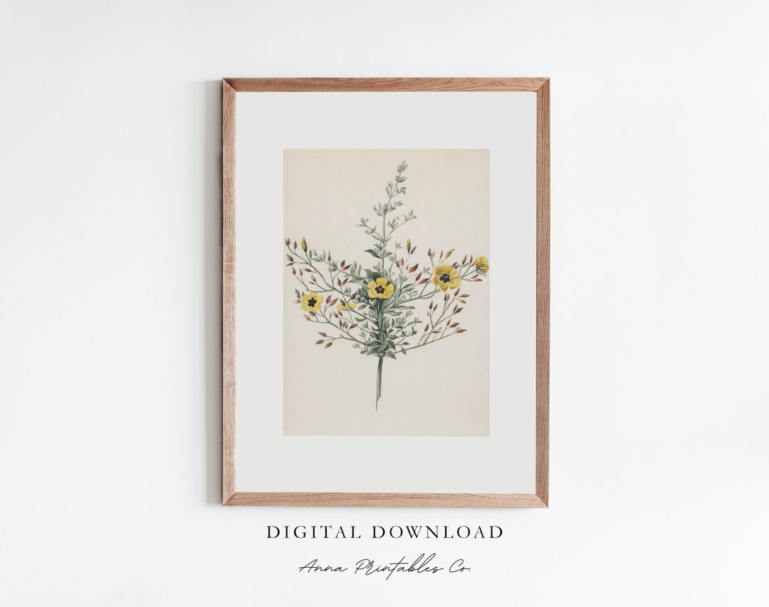 Wildflower Sprig | Antique Botanical Drawing for Digital Download ...