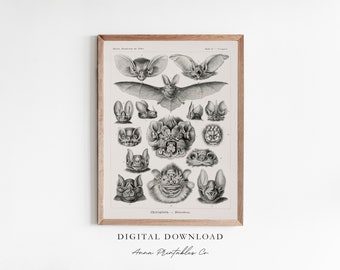 Countess Gothic Bat Vintage Halloween Art Poster Print - Etsy