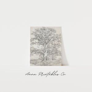 A Great Oak Tree | Antique Tree Sketch Print for Digital Download ...