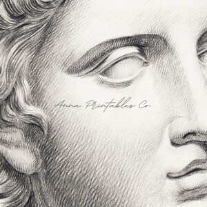 Classical Sketch | Antique Greek Bust Drawing for Digital Download ...