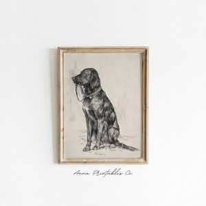 Black Labrador | Antique Dog Ink Drawing for Digital Download | Vintage ...