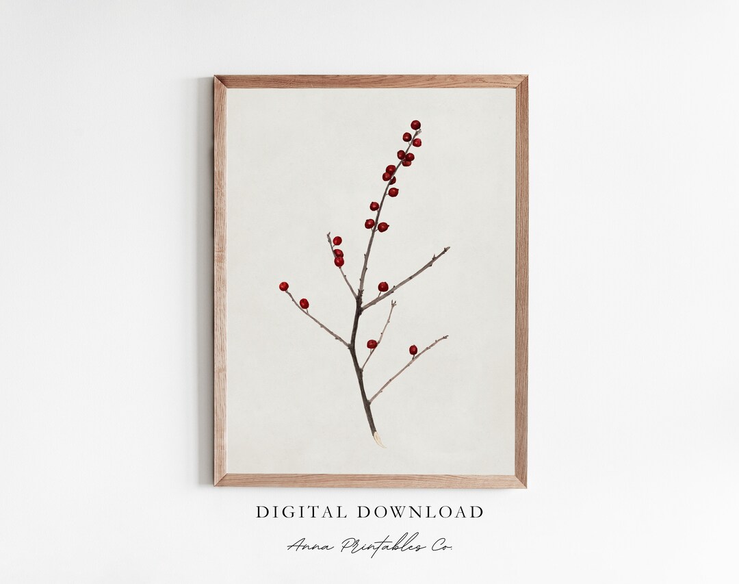 Winterberry Branch | Antique Berry Branch Drawing for Digital Download ...