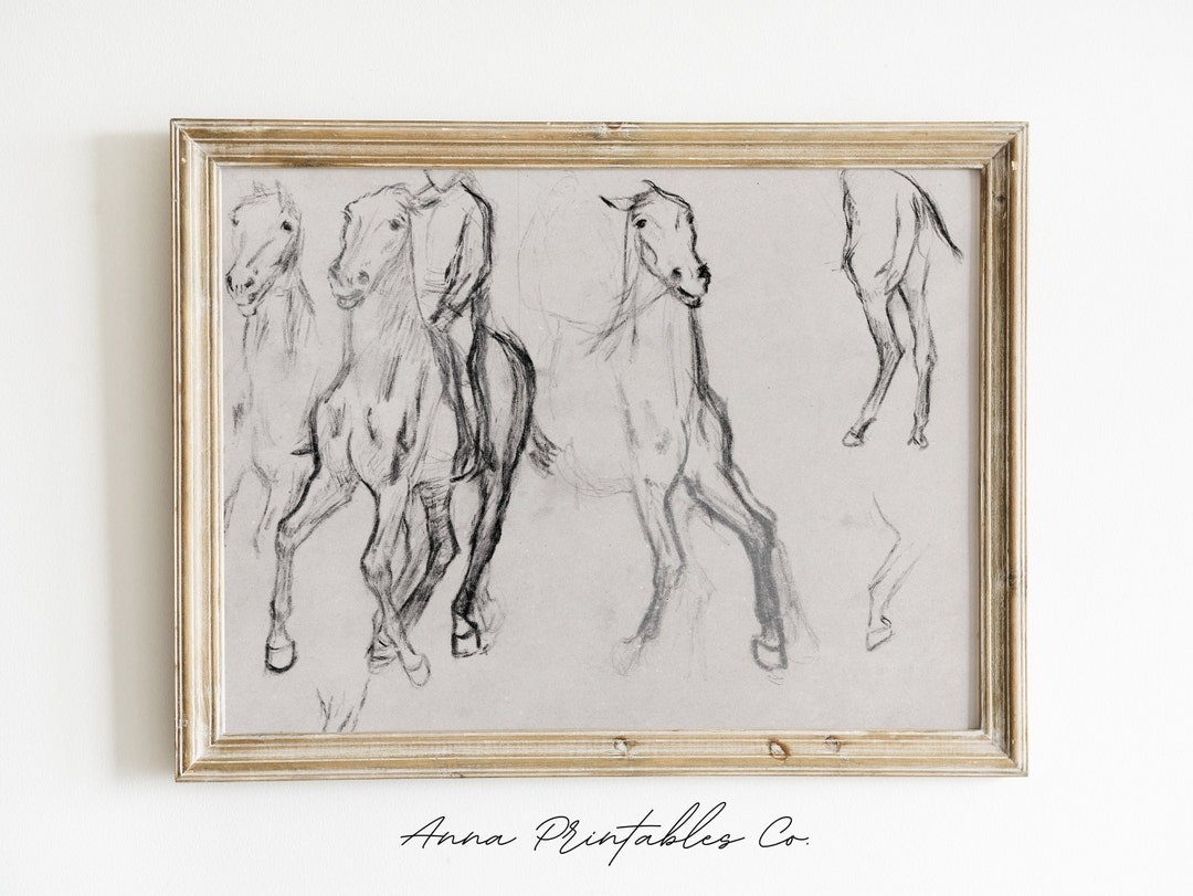 Horse Study Antique Horse Sketch for Digital Download - Etsy