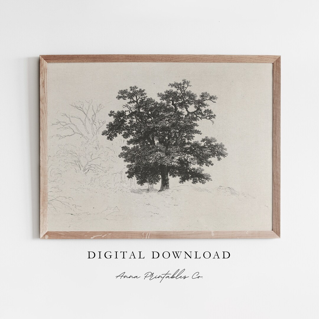 Vintage Tree Etching Print for Digital Download, Antique Tree Sketch ...