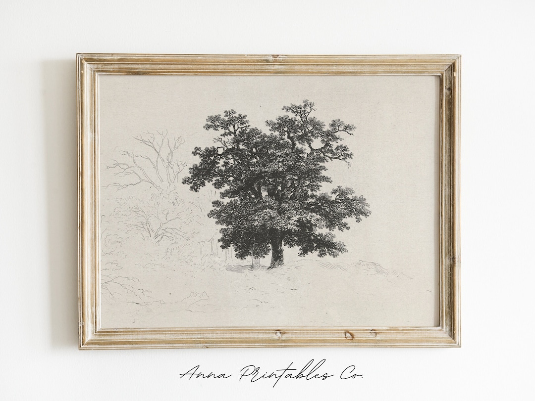 Vintage Tree Etching Print for Digital Download Antique Tree - Etsy