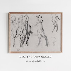 Horse Study Antique Horse Sketch for Digital Download Vintage Animal ...