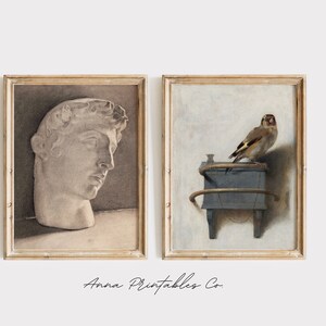 A Light Academia Gallery Set of 9 Vintage Prints for Digital Download ...