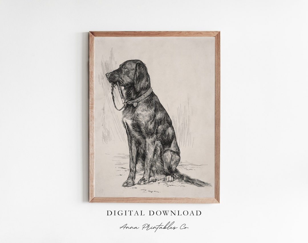 Black Labrador | Antique Dog Ink Drawing for Digital Download | Vintage ...