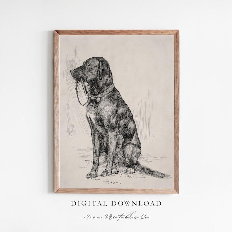 Dog Sketches - Etsy