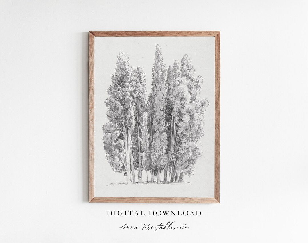 Copse Vintage Tree Sketch for Digital Download Copse of Trees Charcoal ...