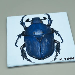 Blue Dung Beetle - Mini Acrylic Painting - Nature - Animal - Bug - Wall ...