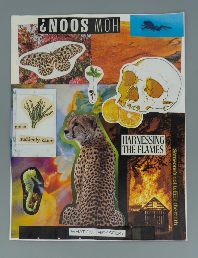 How Soon? (magazine Collage) - Collage - Nature - Animal - Wall Art ...