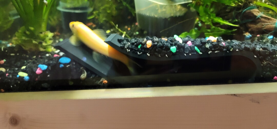 Under Gravel Breeding Cave - the Ultimate Breeding Cave for Your ...