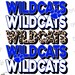 Wildcats PNG Download, Wildcats Digital Art Download, Wildcats Mascot ...