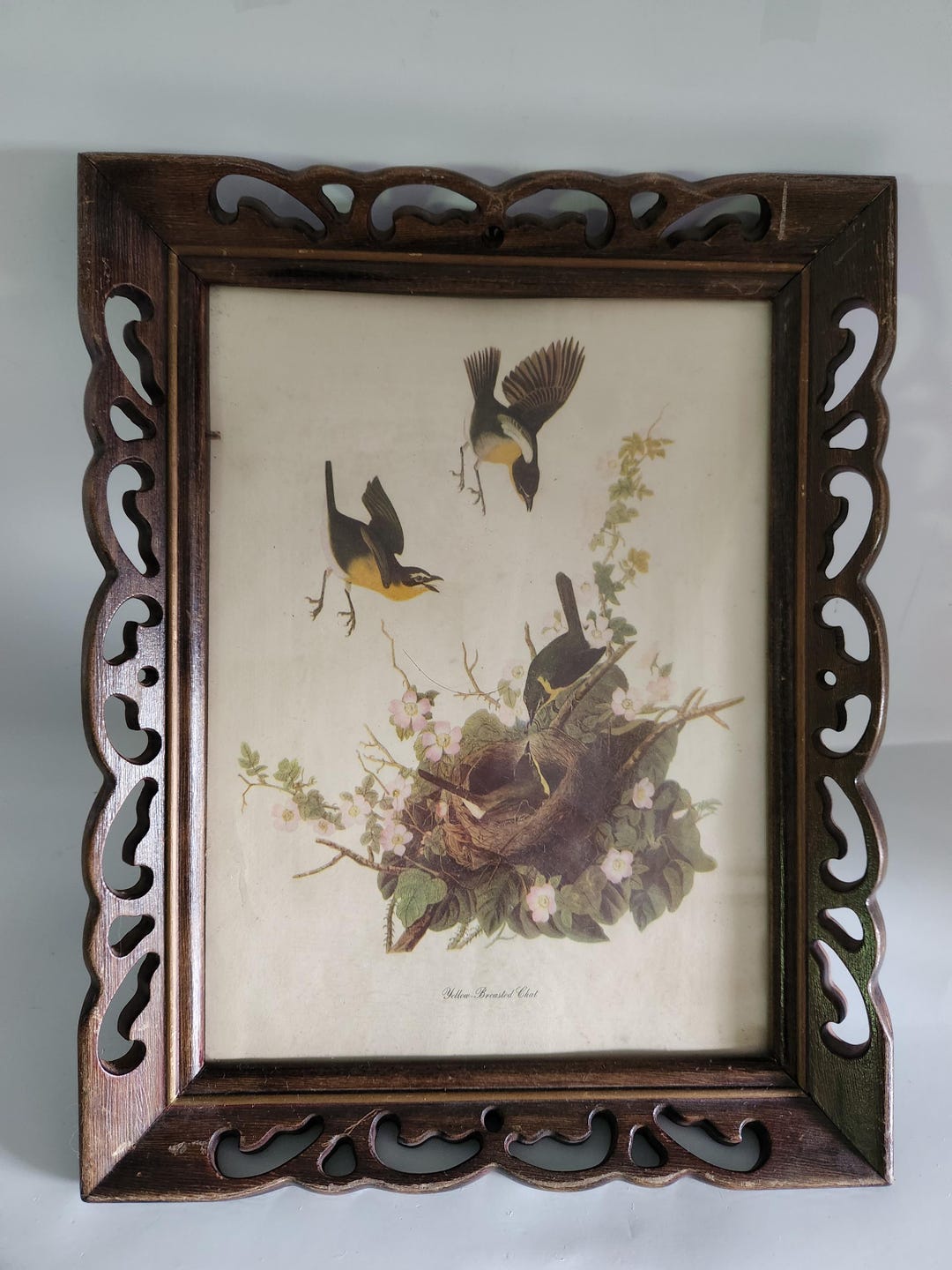 Vintage Audobon John James Yellow-breasted Chat Litho Print Framed - Etsy