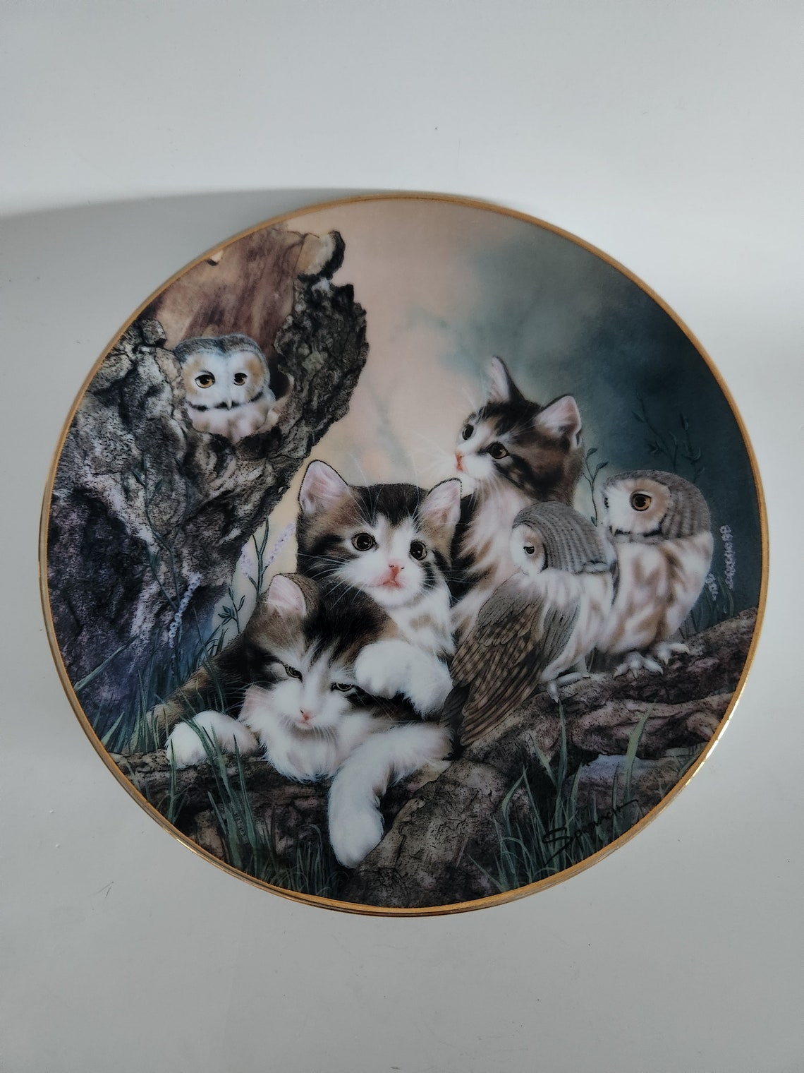 Vintage Franklin Mint Whoo Are You Cat Kitten Owl Collectible Plate - Etsy