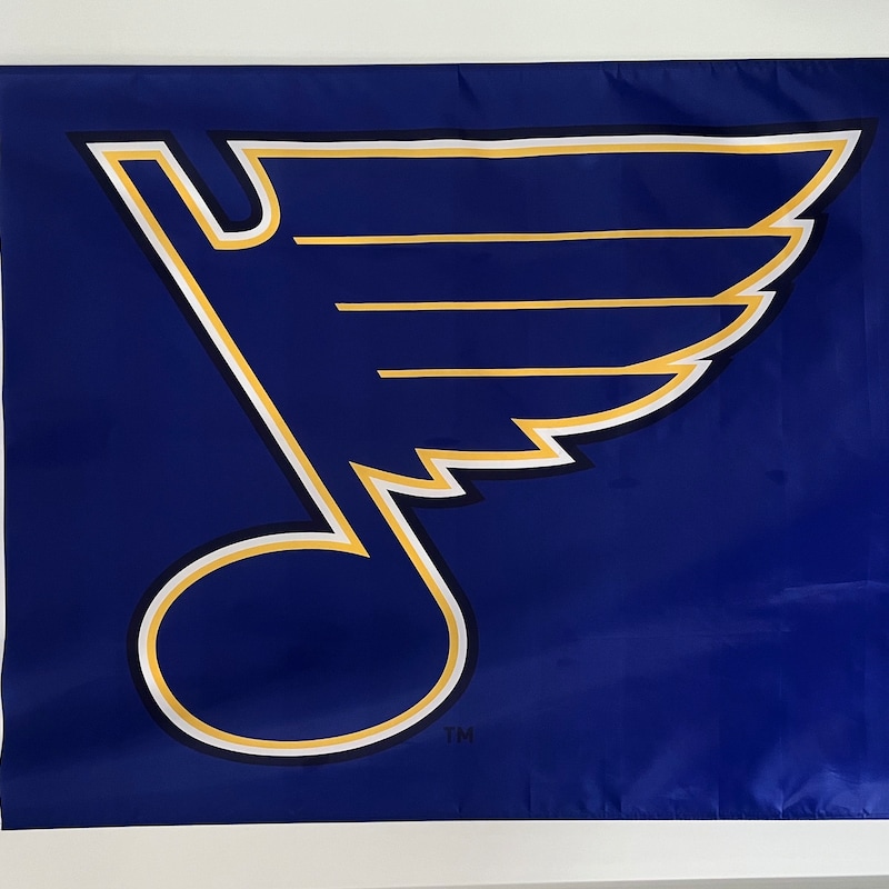 St Louis Flag - Etsy
