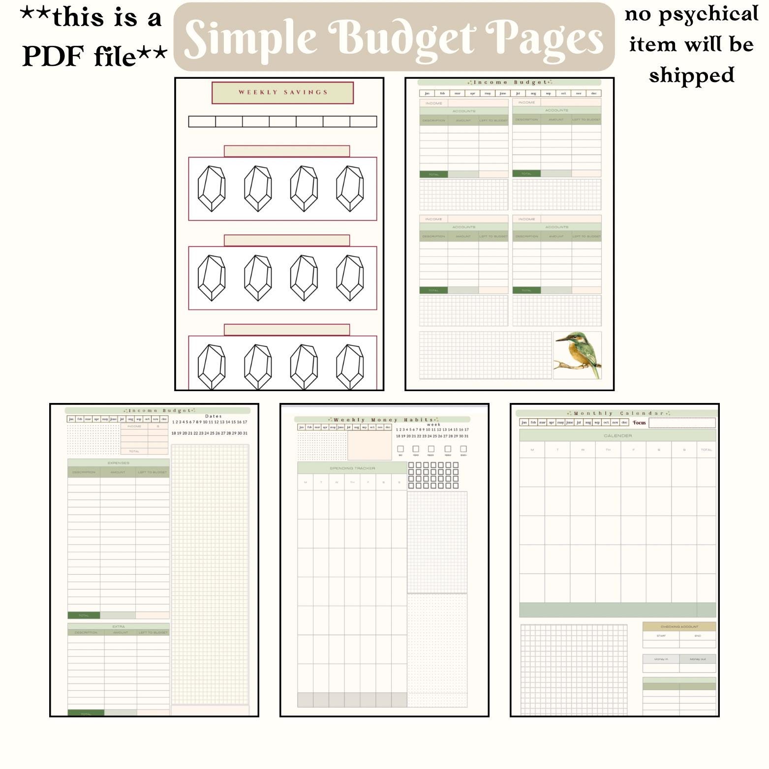 SIMPLE Budget Planner Printables - Etsy