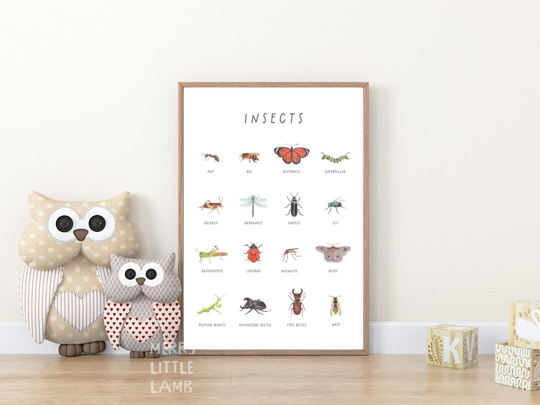 Educational Insects Poster, Nursery Bugs Print, Printable Wall Art ...