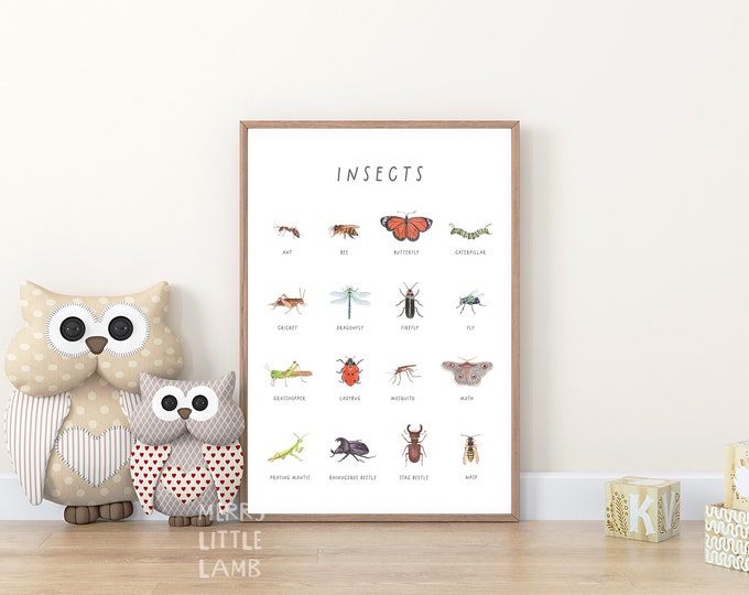 Educational Bugs Poster, Insects Print, Printable Wall Art, Montessori ...