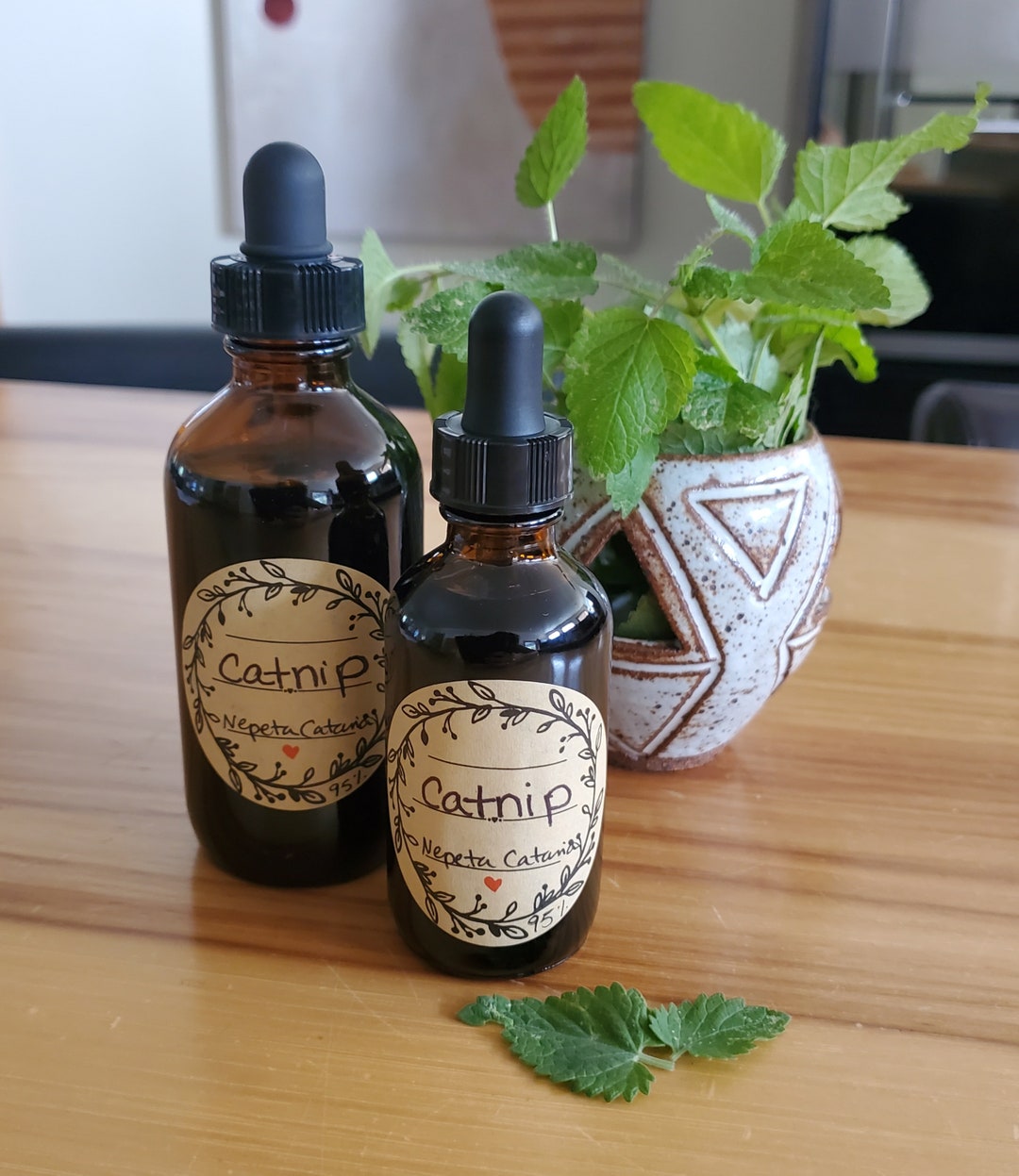 Catnip Tincture Organic grain Free Alcohol - Etsy