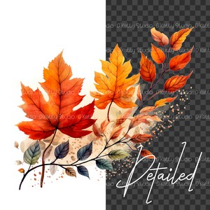 Watercolor Autumn Fall Clipart Transparent Background Fall Leaves ...