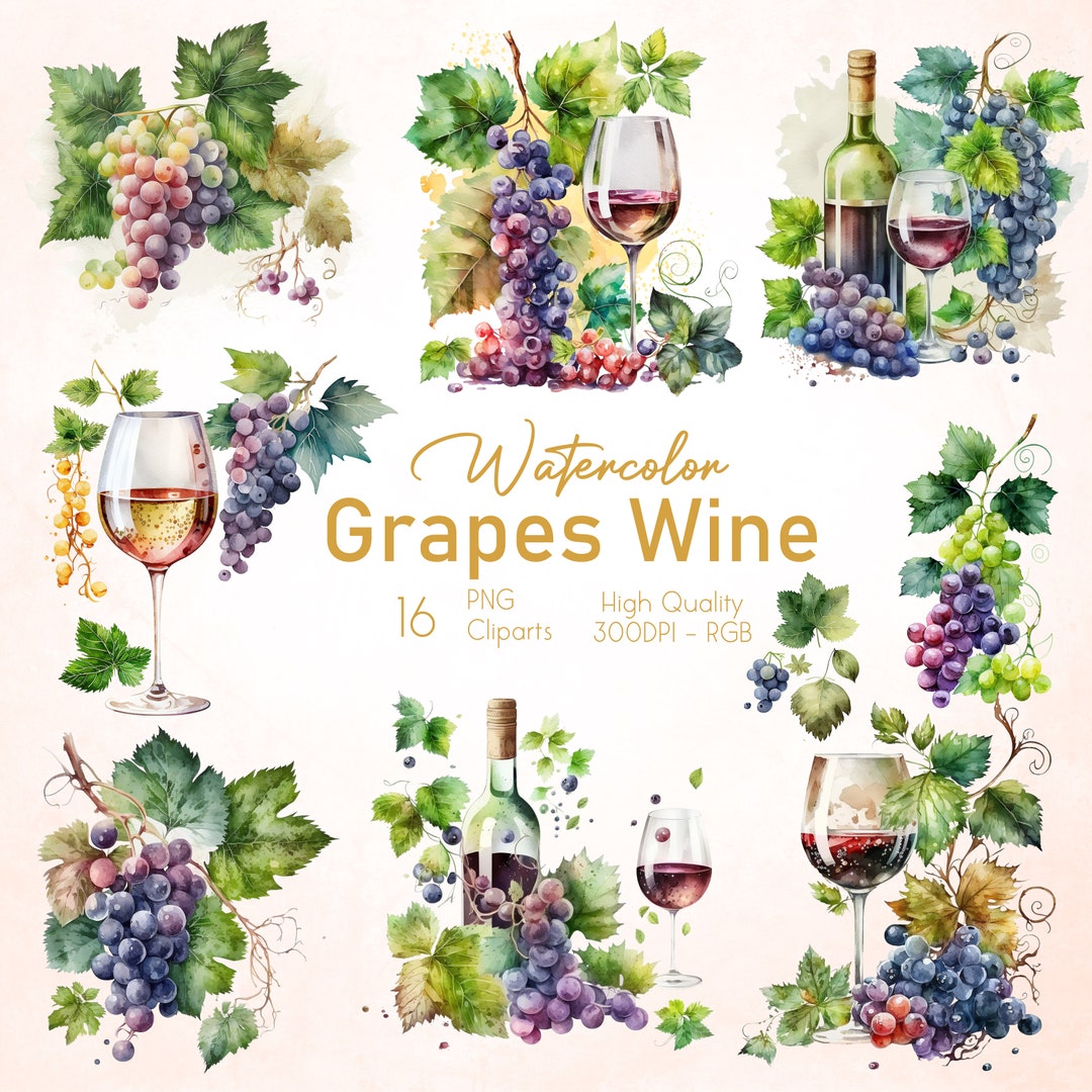 Watercolor Grapes and Wine Clipart Transparent Background Instant ...