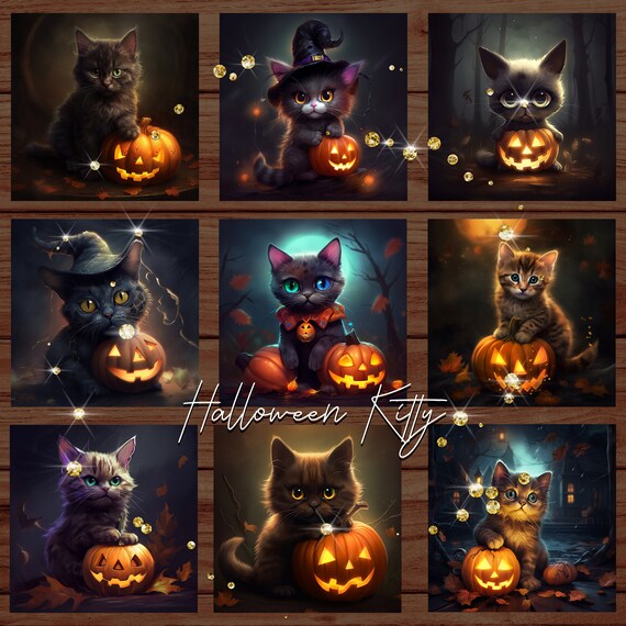 Pumpkin Cat Wallpaper